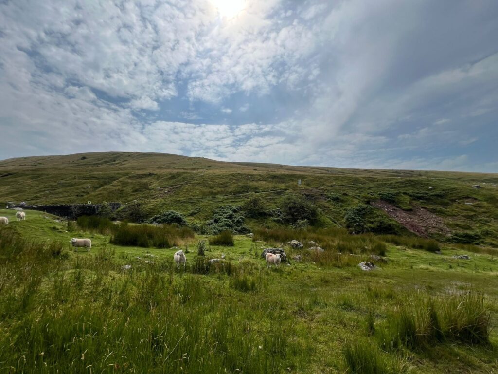 Welcome to Thomas & Thomas Estate Agents | Thomas & Thomas Estate Agents